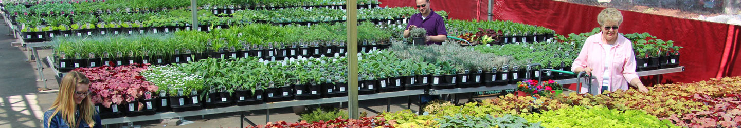 mickman-brothers-garden-center-garden-club - Mickman Brothers, Inc.