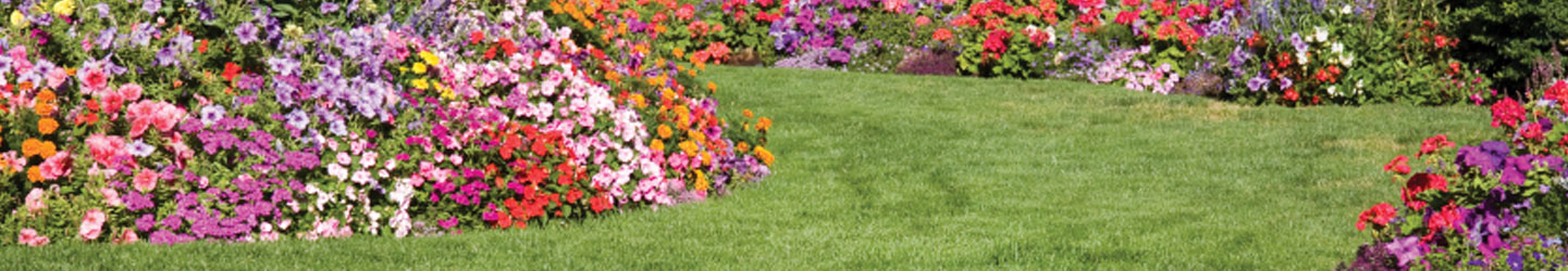 mickman-brothers-management-lawn-care - Mickman Brothers, Inc.